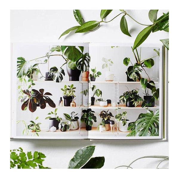 Plant Style: How to Greenify Your Space – The Design Edit